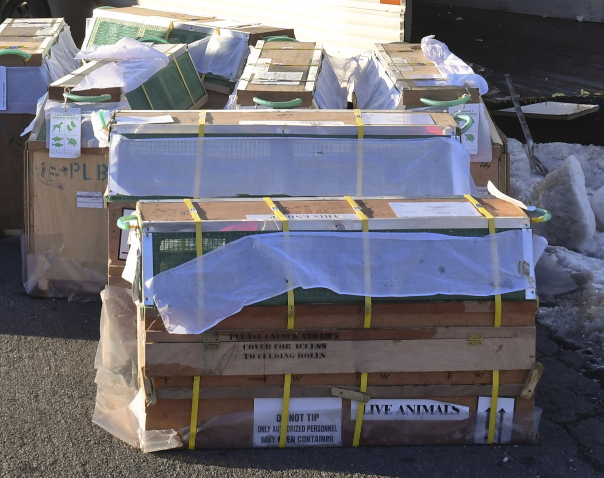 South Florida Smash HLS